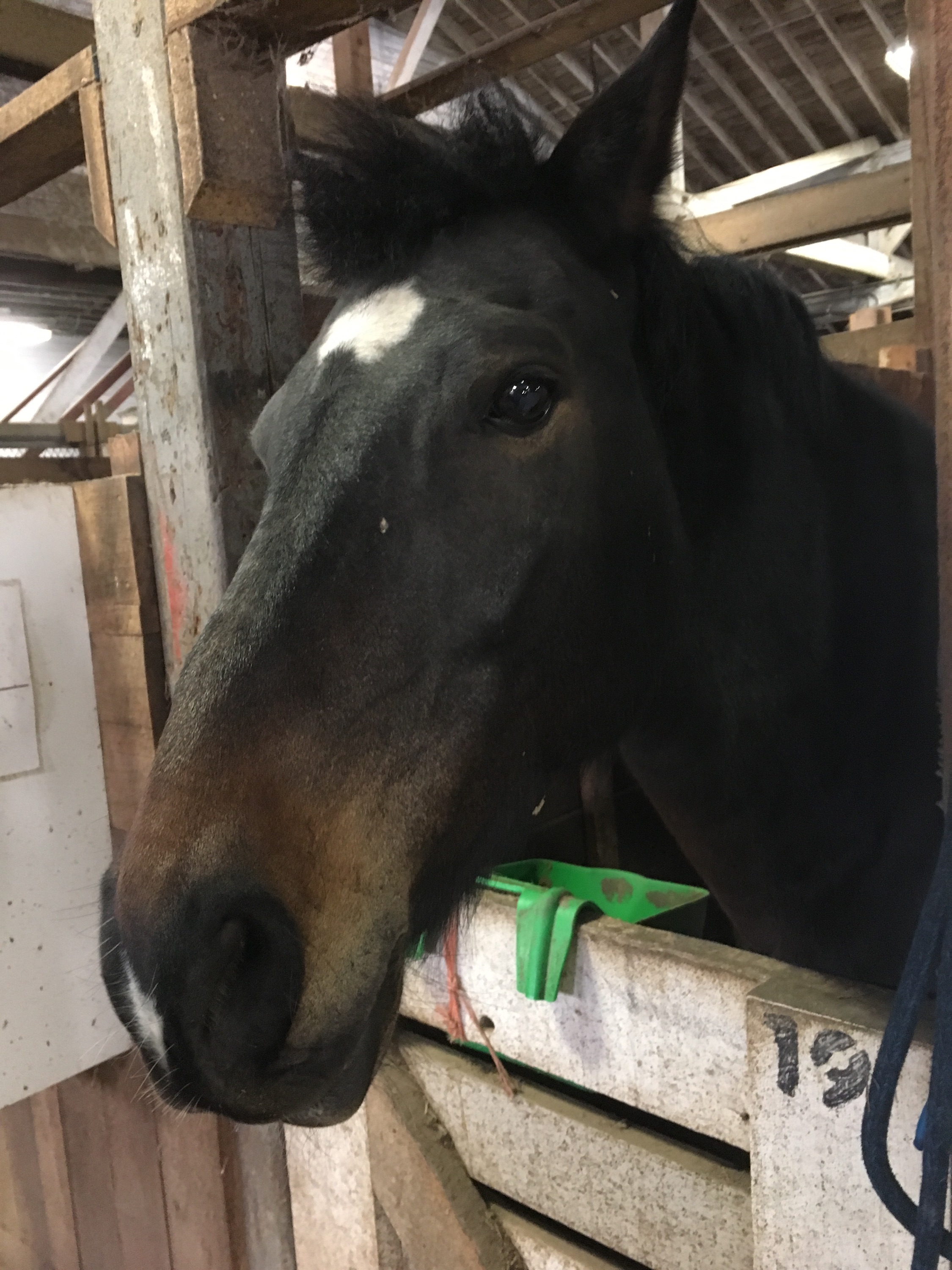 Eagle and Child Inkling