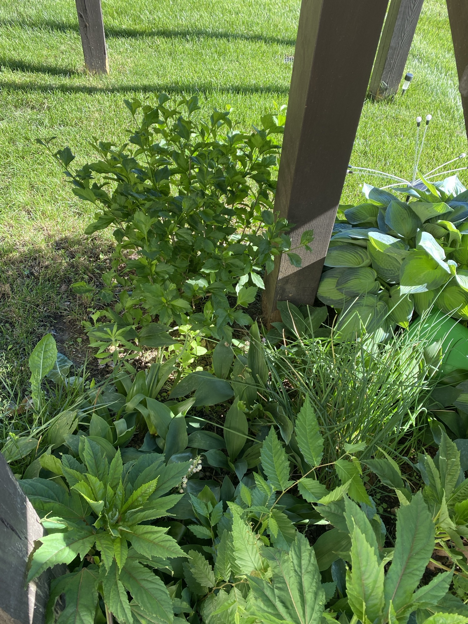 Sometimes | Eagle and Child Inkling